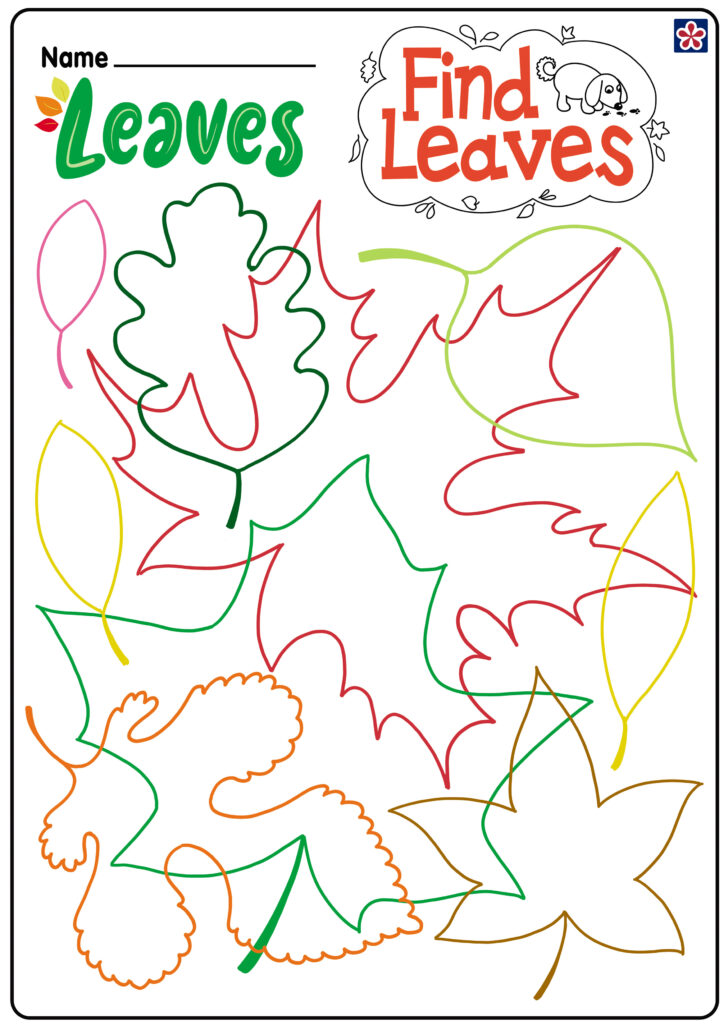Free Fall Leaves Worksheets For Preschool And Kindergarten | Printable ...