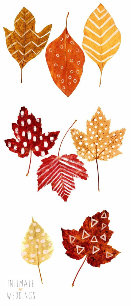 FREE Printable Leaves Pictures, Leaf Templates